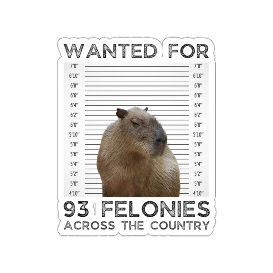 Capybara Mugshot Wanted Poster Meme Sticker, Capybara Committing Crimes ...