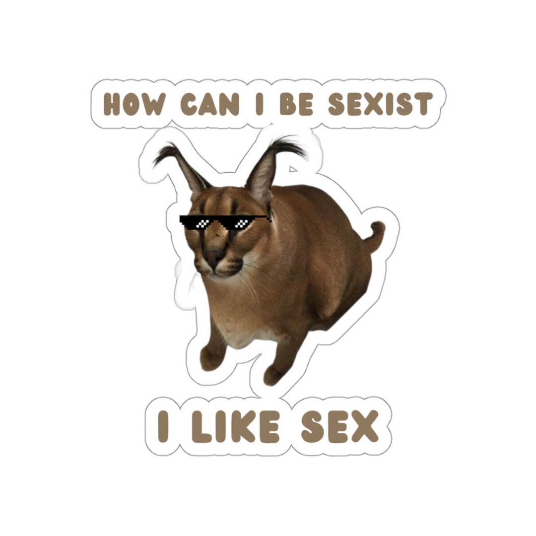 How Can I Be Sexist I Like Sex Big Floppa Sexist Meme Cat Etsy