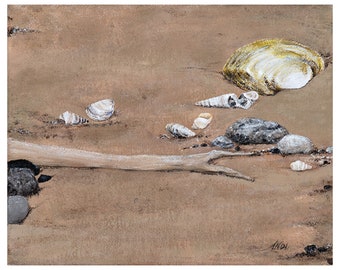 Shells Lake Erie - Etsy