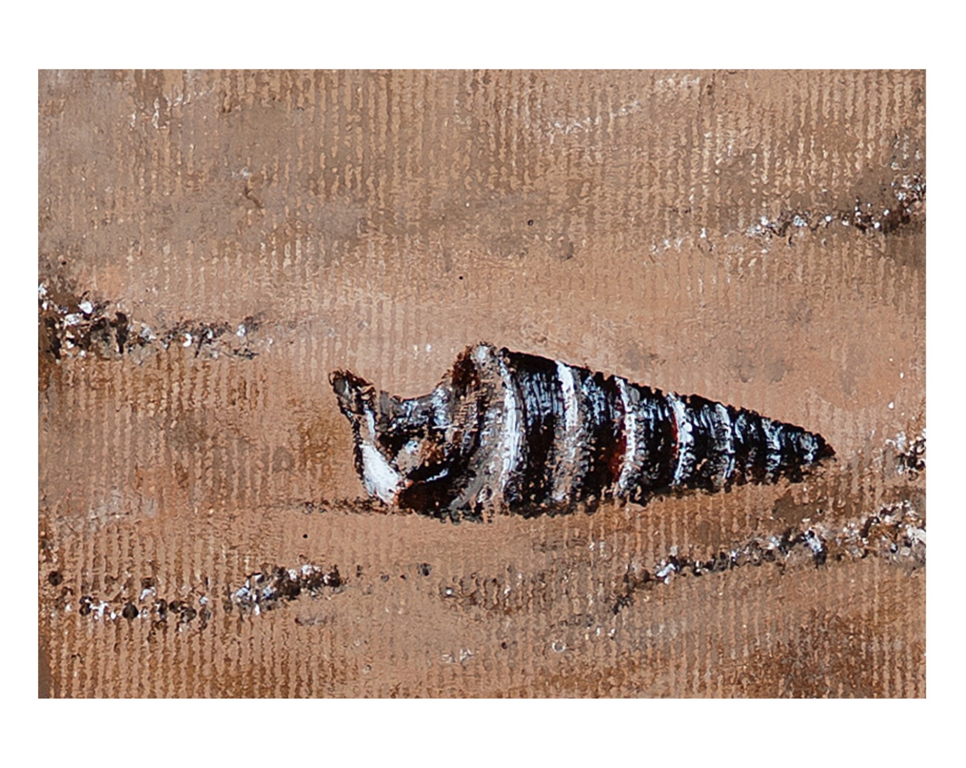 Miniature Fine Art Print, "shell Find" Lake Erie Collection, High ...