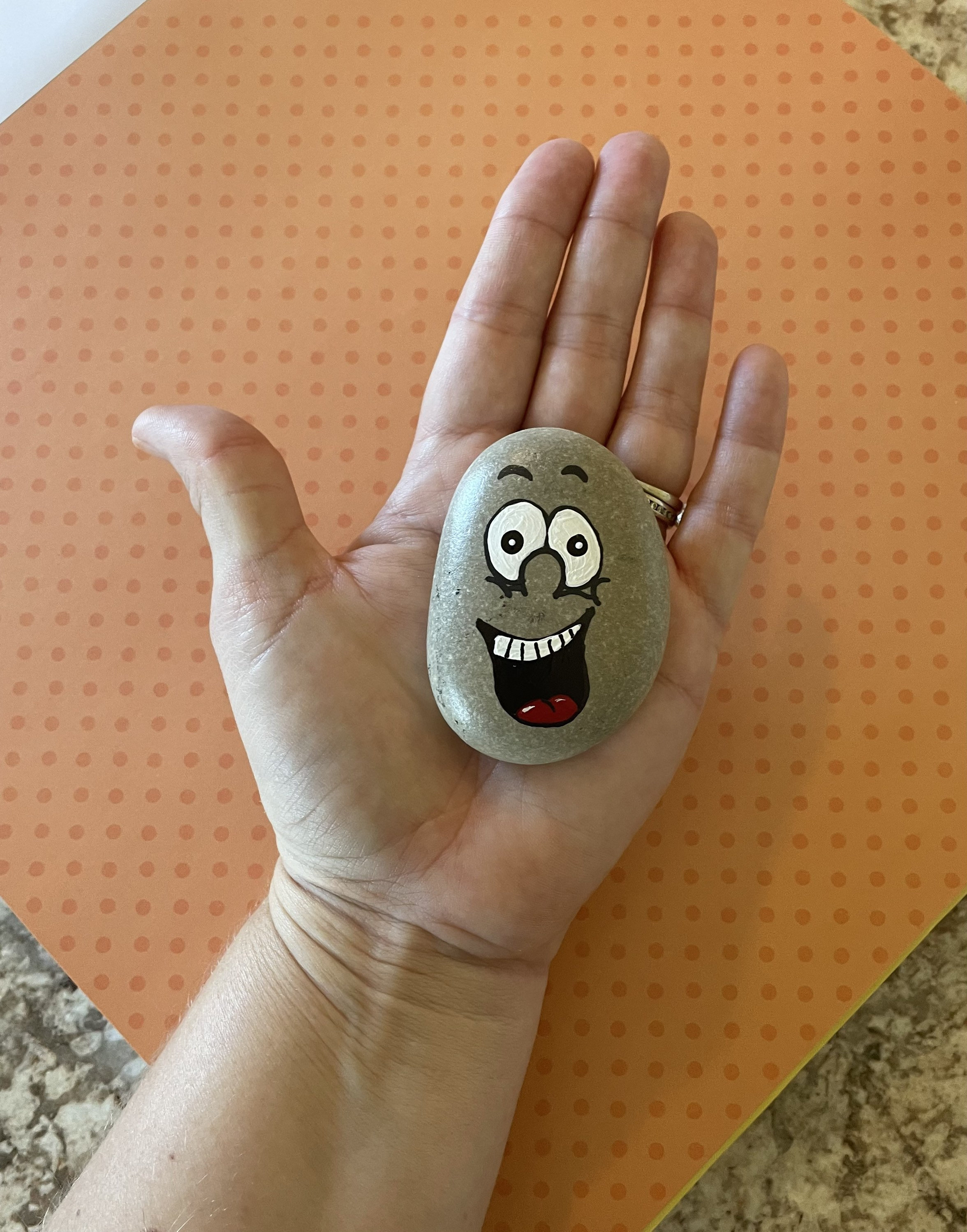 Custom Set of Funny Face Painted Rocks Garden Decorations - Etsy