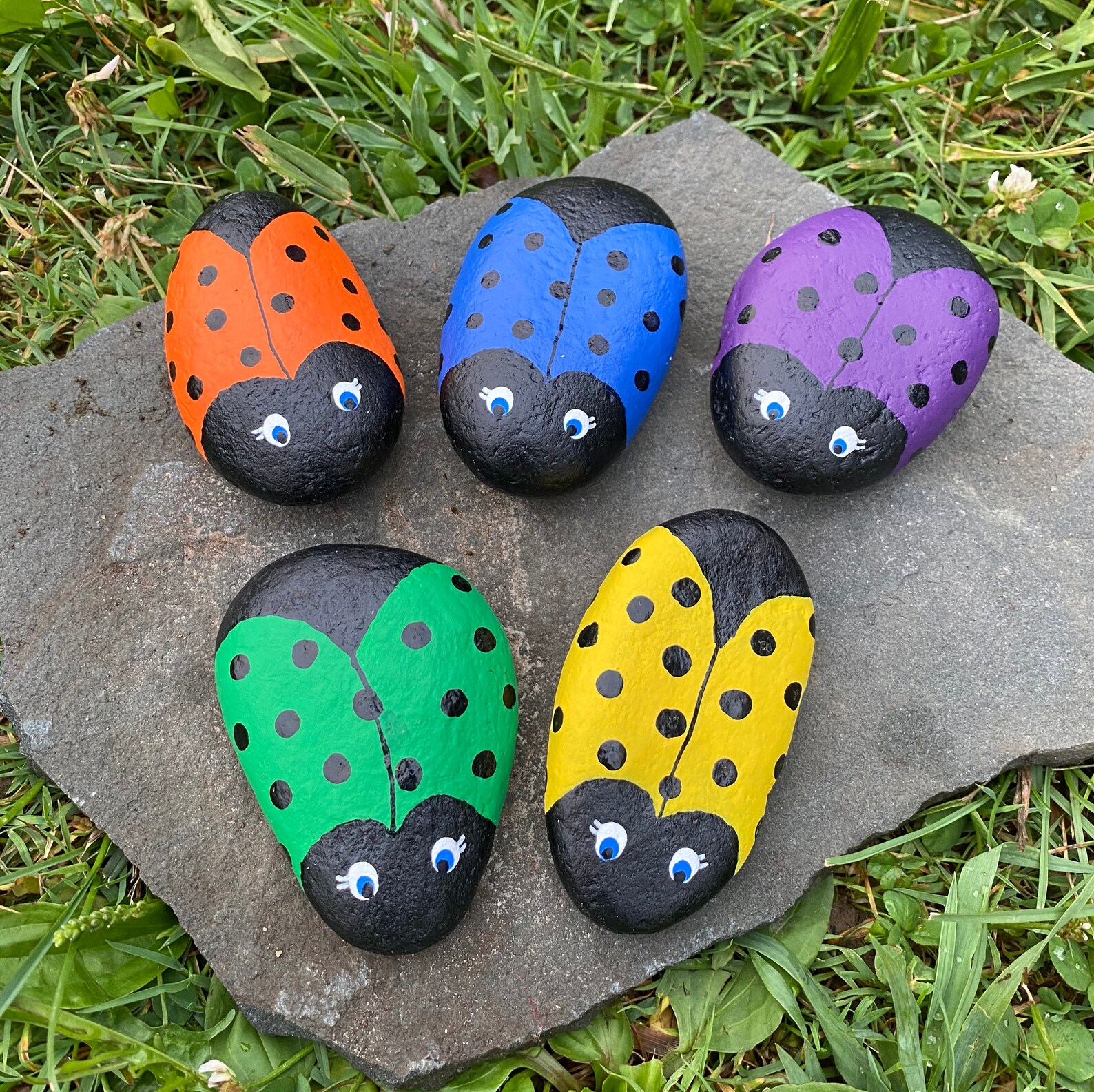 Custom Hand Painted Ladybug Rocks - Etsy