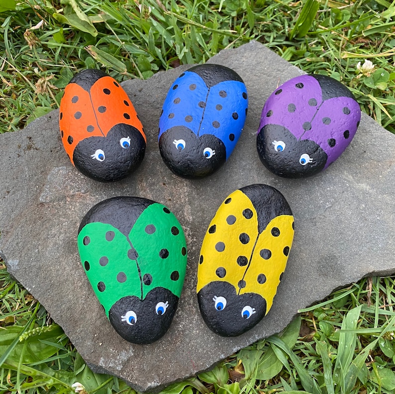 Custom Hand Painted Ladybug Rocks - Etsy