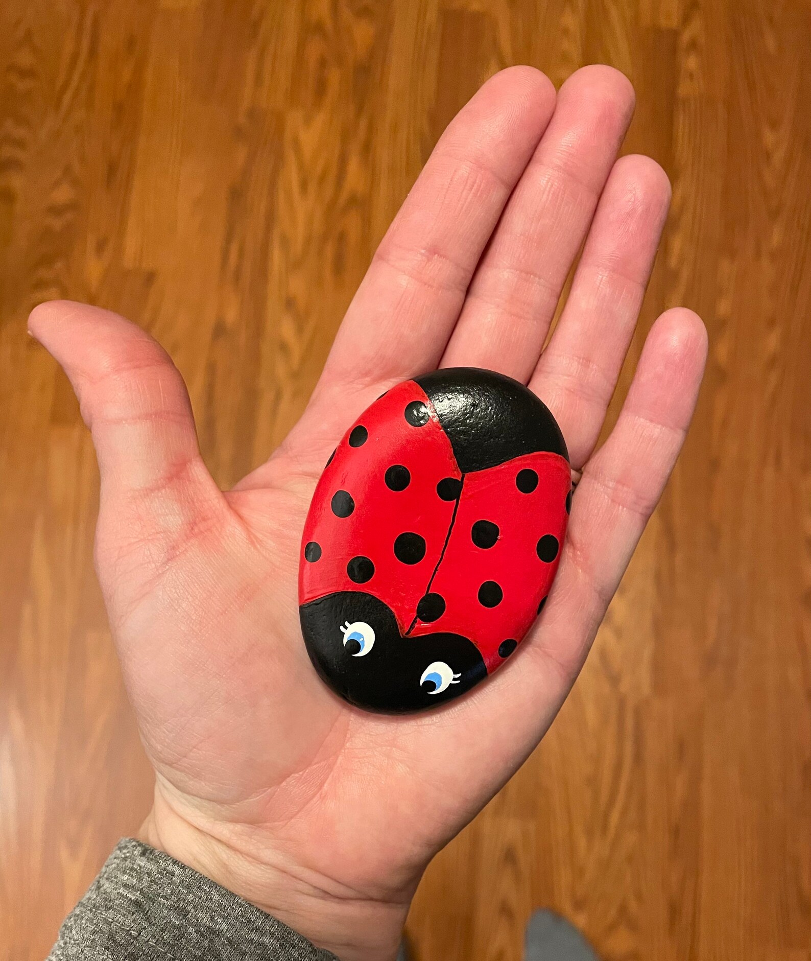 Custom Hand Painted Ladybug Rocks - Etsy