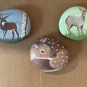 Create Your Own Wildlife Stone! Hand Painted Custom Animal Stones- You ...
