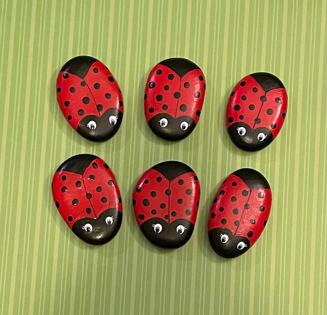 Custom Hand Painted Ladybug Rocks - Etsy