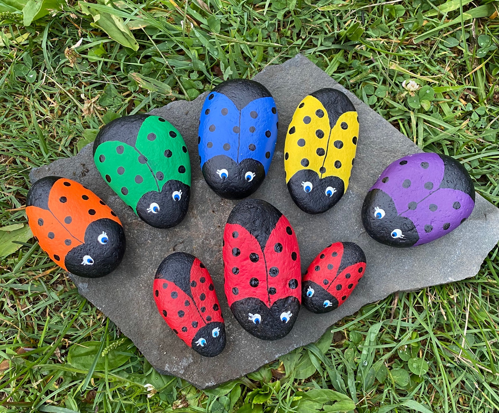Custom Hand Painted Ladybug Rocks - Etsy