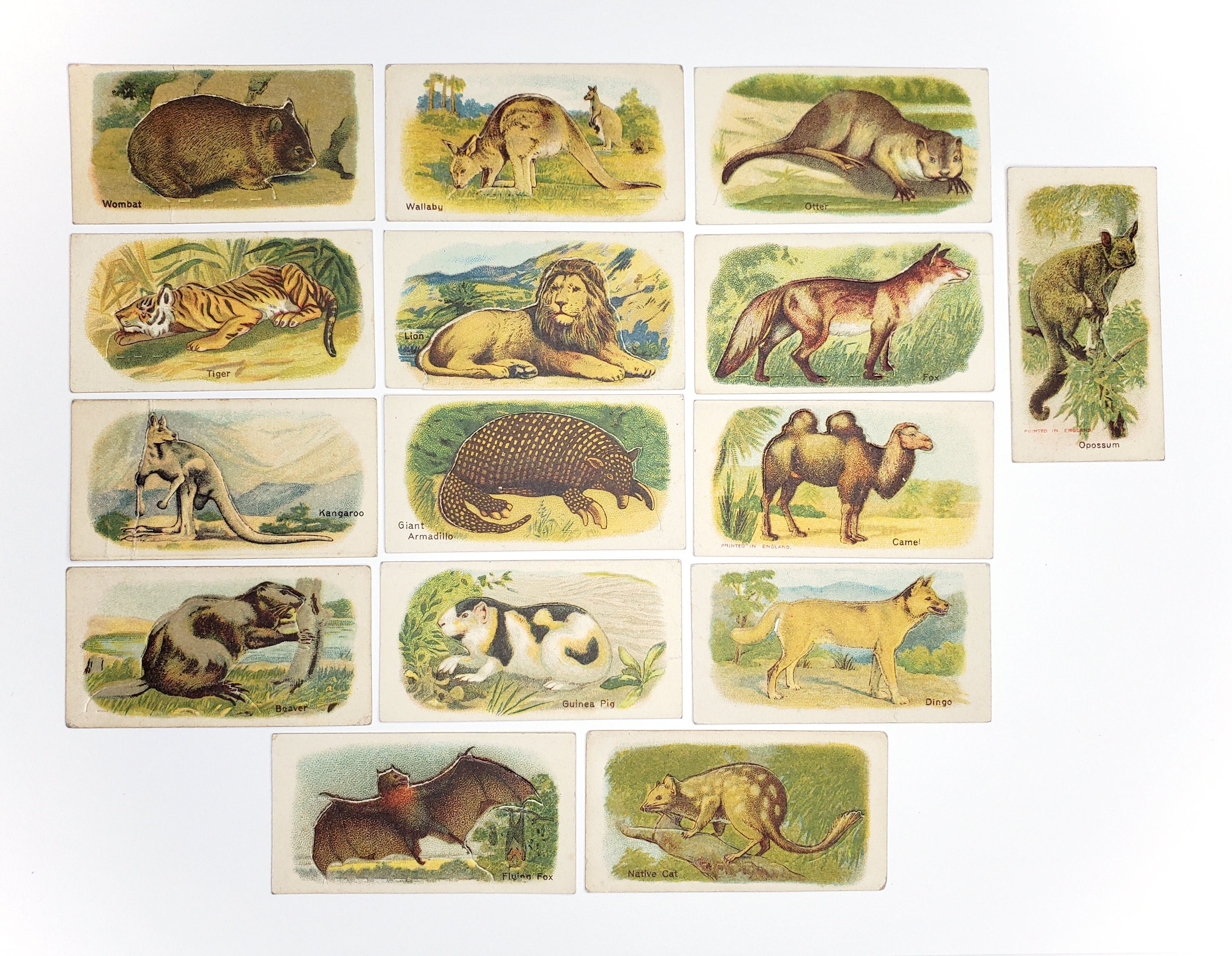 Antique Animal Cigarette Cards (set of 43) - Imperial Tobacco - C. 1916 ...