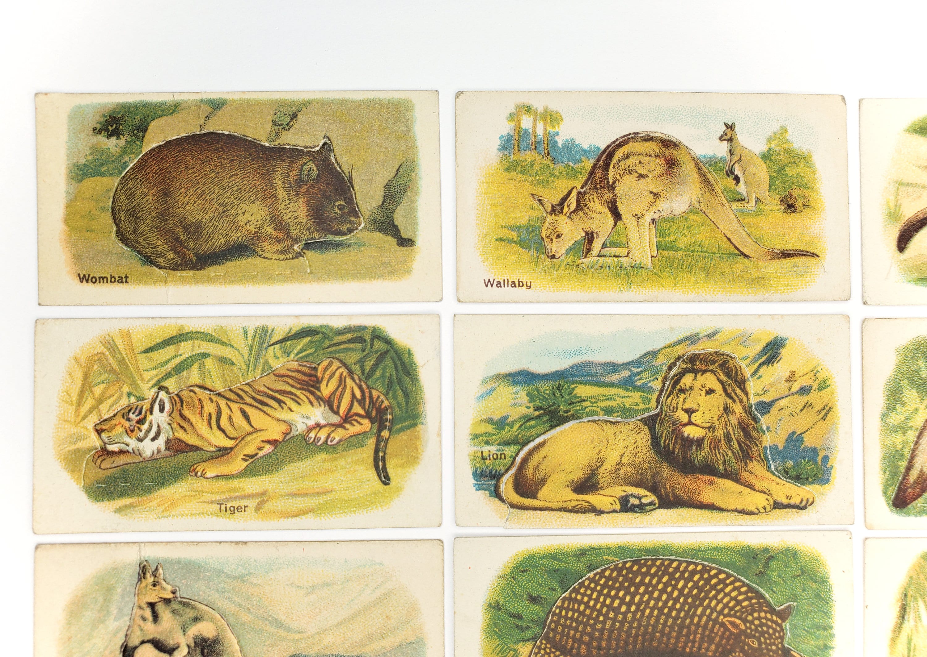 Antique Animal Cigarette Cards (set of 43) - Imperial Tobacco - C. 1916 ...