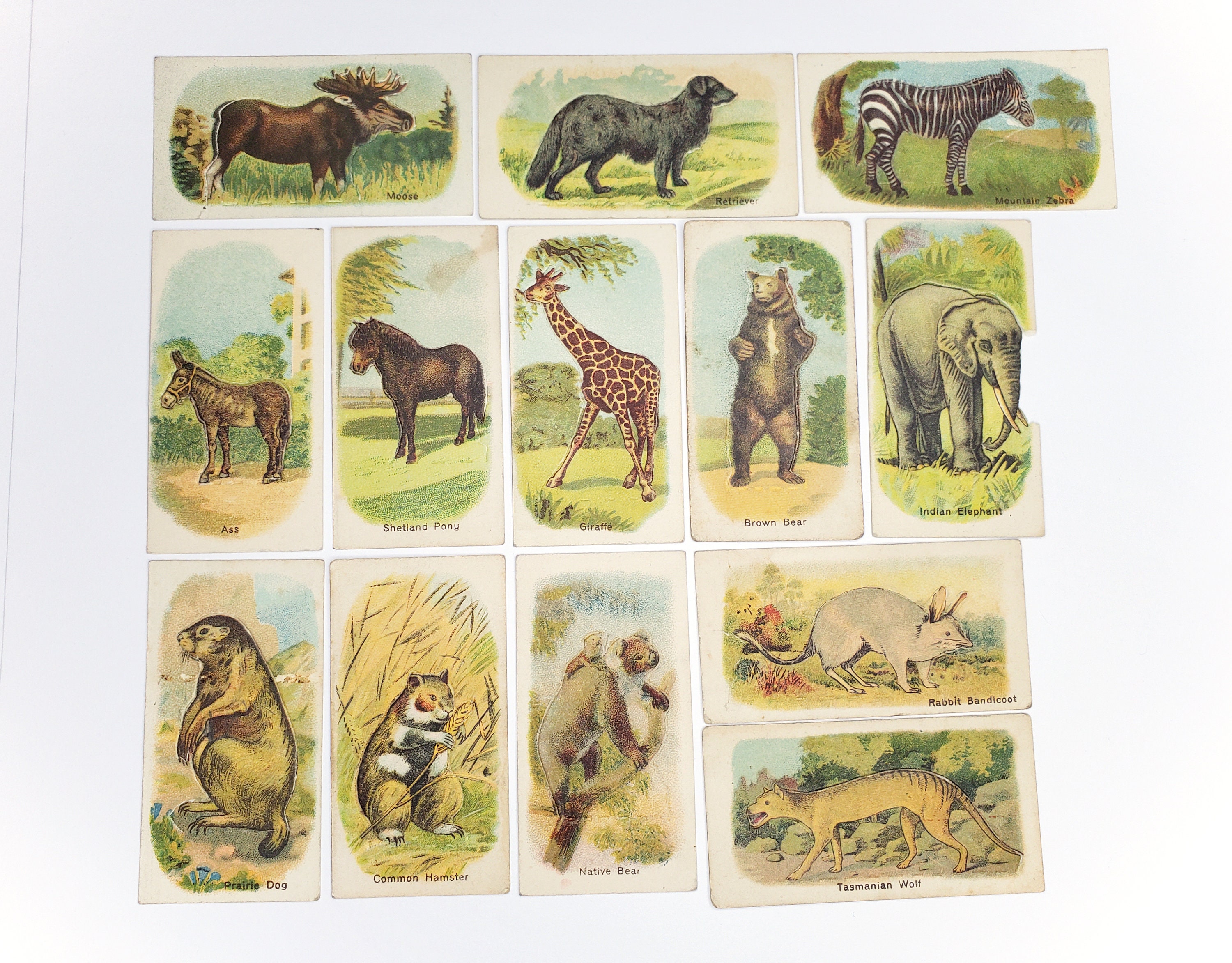 Antique Animal Cigarette Cards (set of 43) - Imperial Tobacco - C. 1916 ...