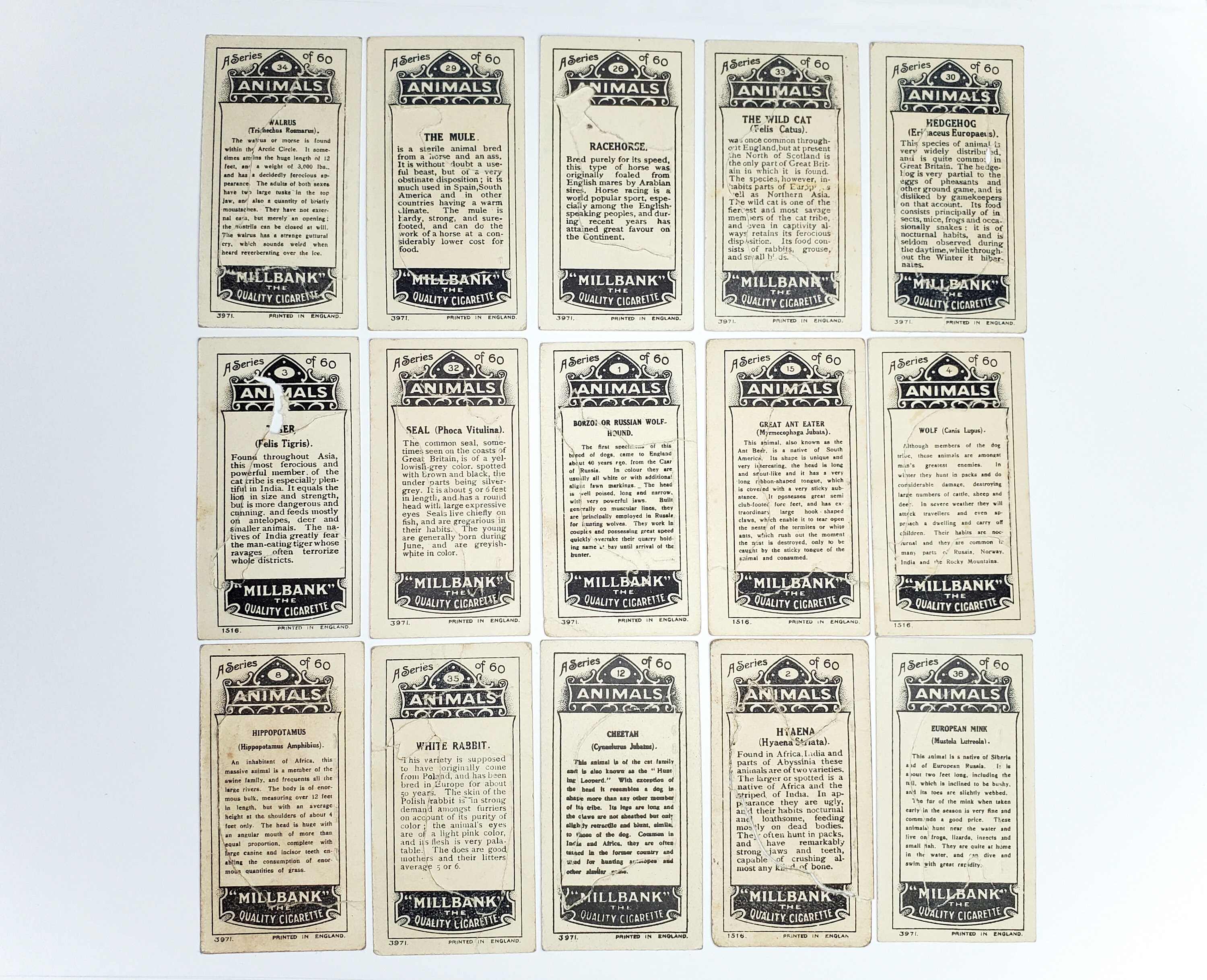 Antique Animal Cigarette Cards (set of 43) - Imperial Tobacco - C. 1916 ...