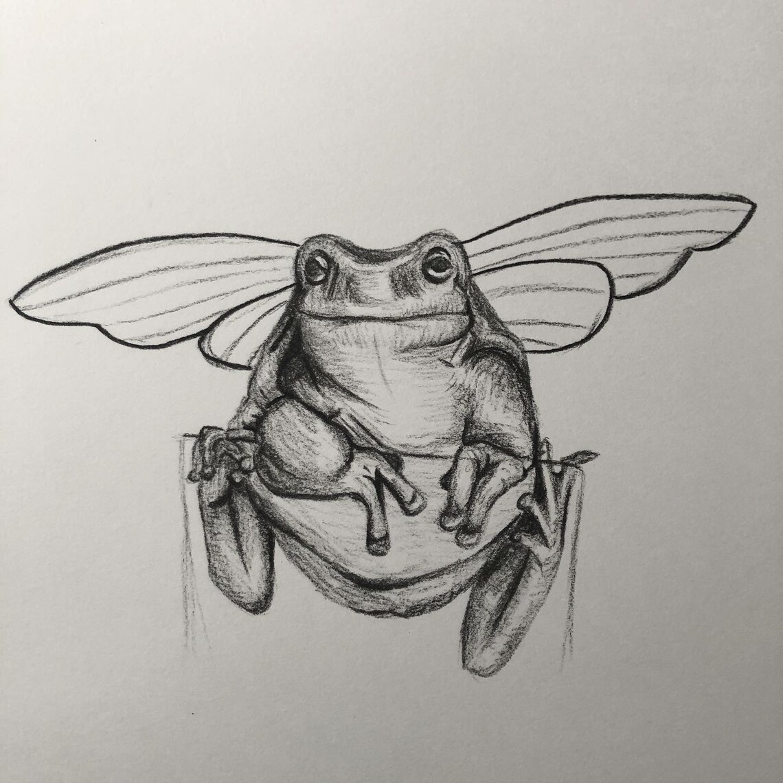 Frog With Wing A4 Print | Etsy