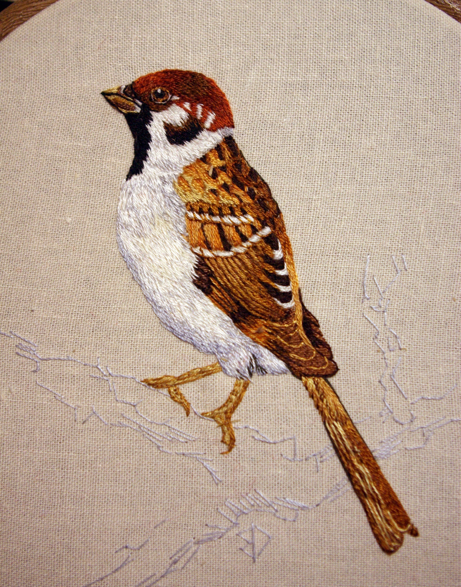 Embroidery on Drum of a Chilly Sparrow - Etsy
