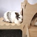 Rabbit Castle Bridge Only Formaldehyde Free, Non Toxic, Wooden, Slot ...