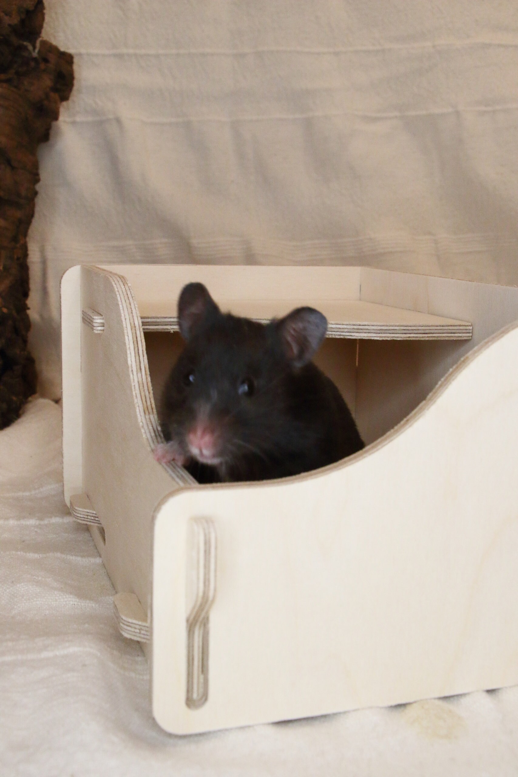 Hamster Micro Dig Box Formaldehyde Free Non Toxic Wooden - Etsy UK