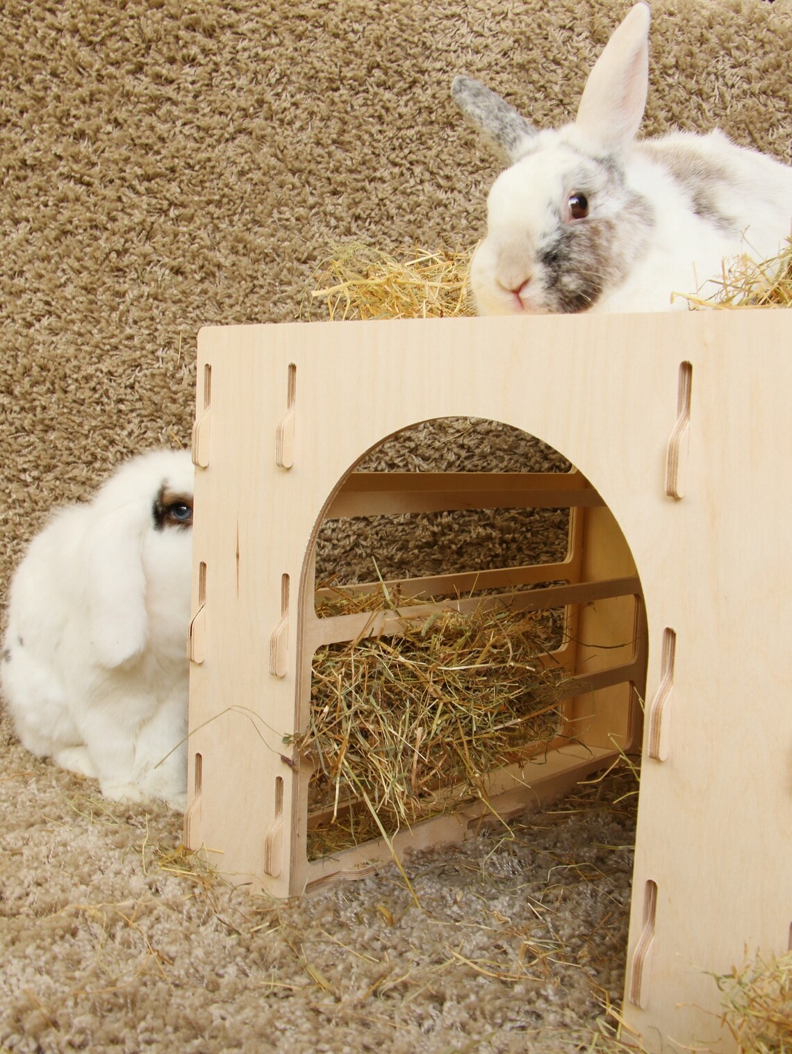 Rabbit Hay Tunnel Formaldehyde Free Non Toxic Wooden Slot - Etsy