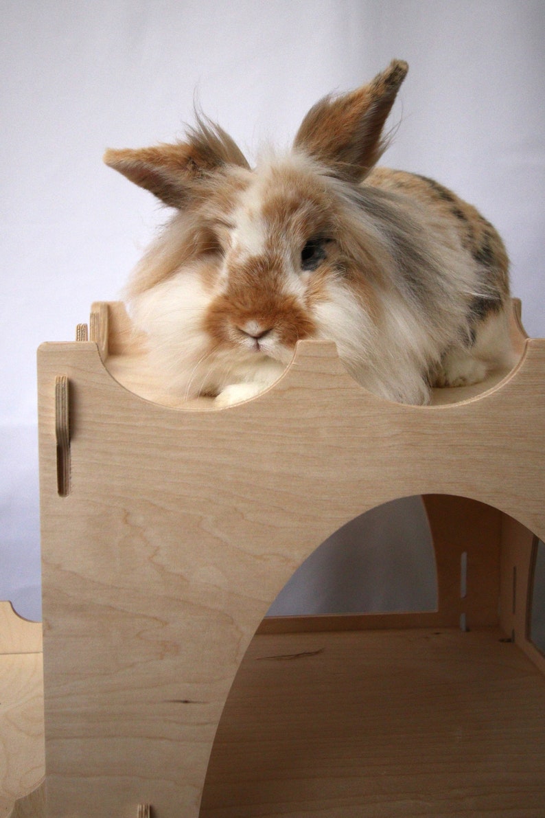 Rabbit Triple Turret Castle Kit Formaldehyde Free Non - Etsy