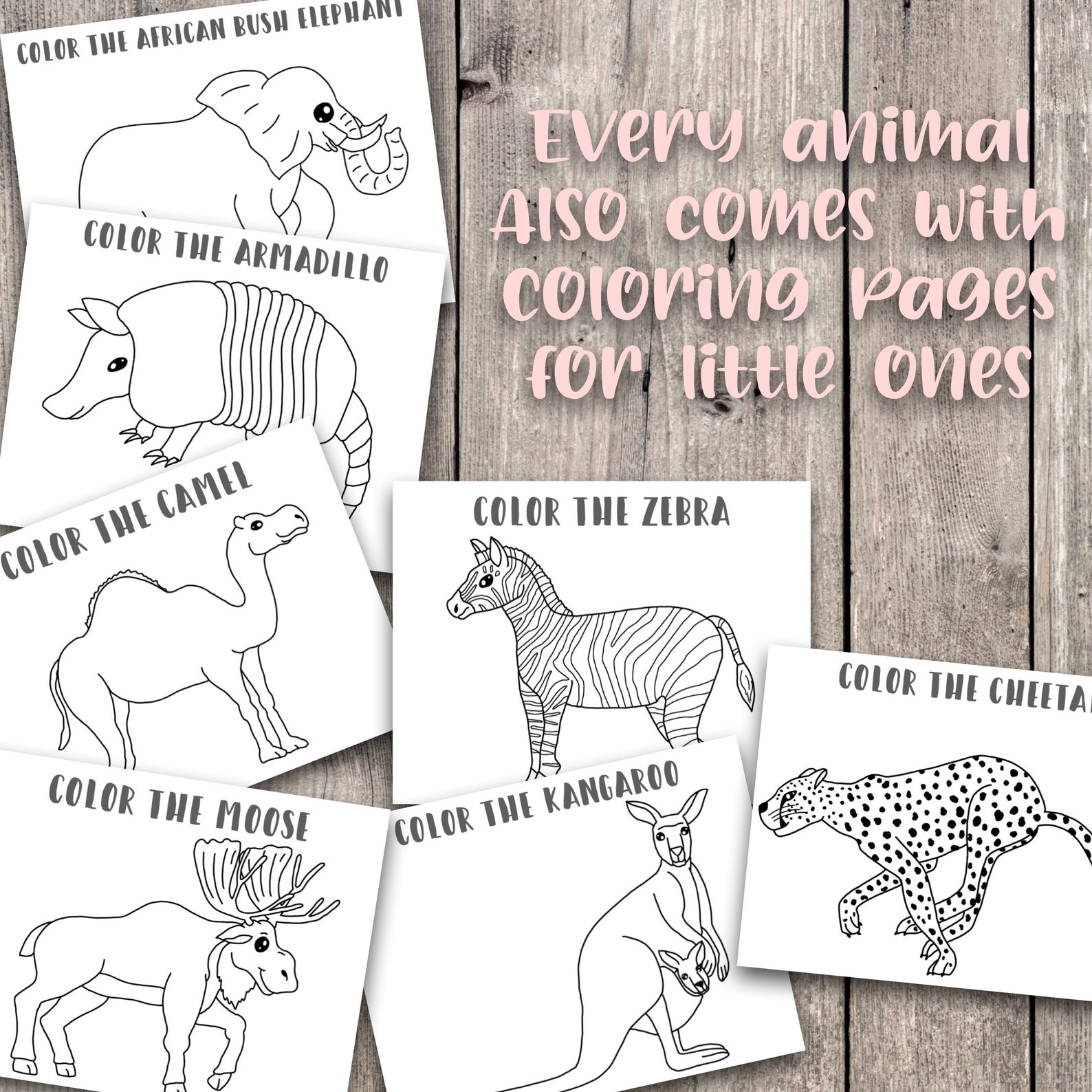 Mammal Anatomy Labeling Worksheets, Printable, Digital Download - Etsy