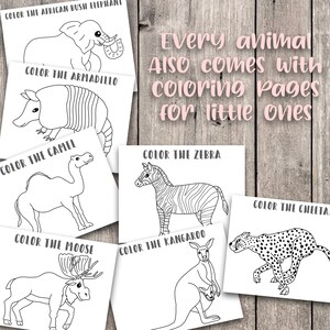 Mammal Anatomy Labeling Worksheets, Printable, Digital Download - Etsy