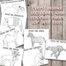 Mammal Anatomy Labeling Worksheets, Printable, Digital Download - Etsy