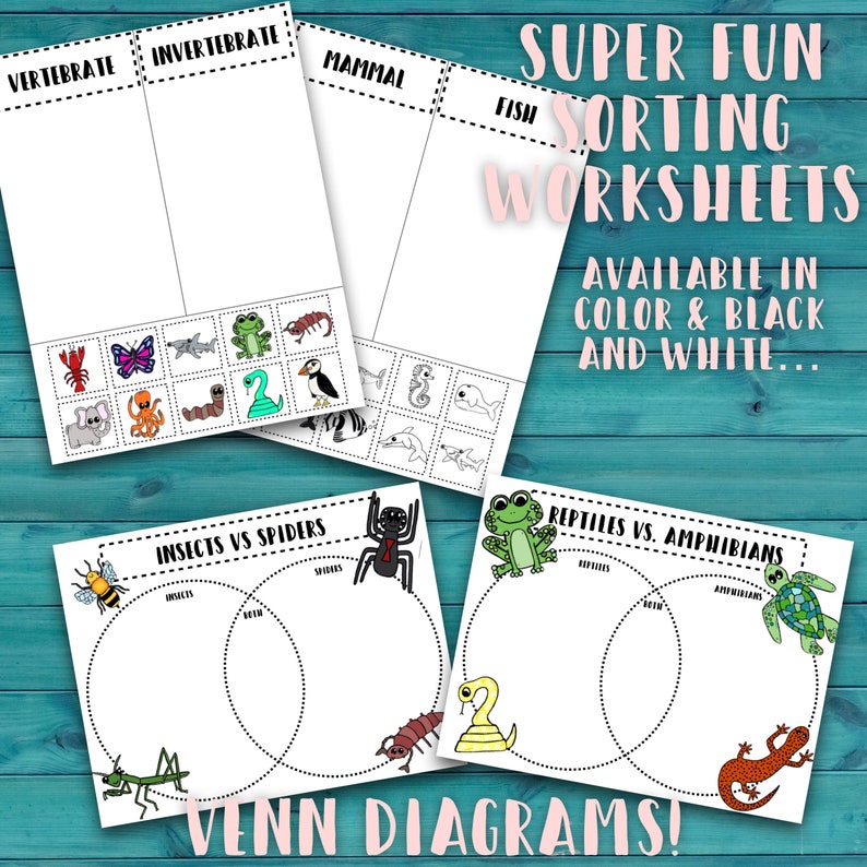 Animal Classification Interactive Notebook Printable Digital - Etsy