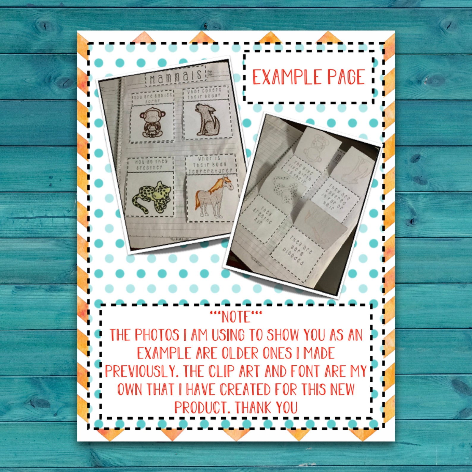 Animal Classification Interactive Notebook Printable Digital - Etsy