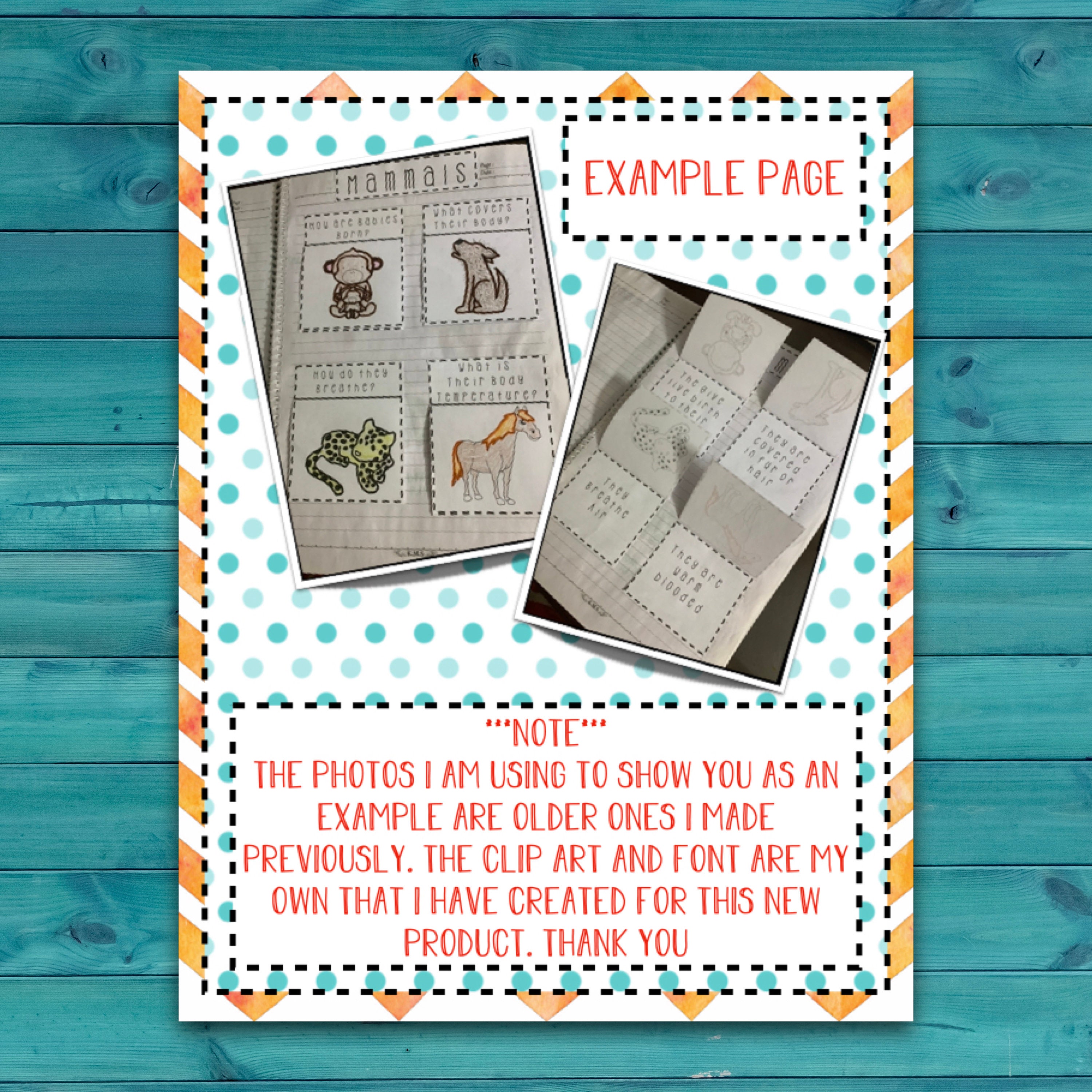 Animal Classification Interactive Notebook Printable Digital - Etsy