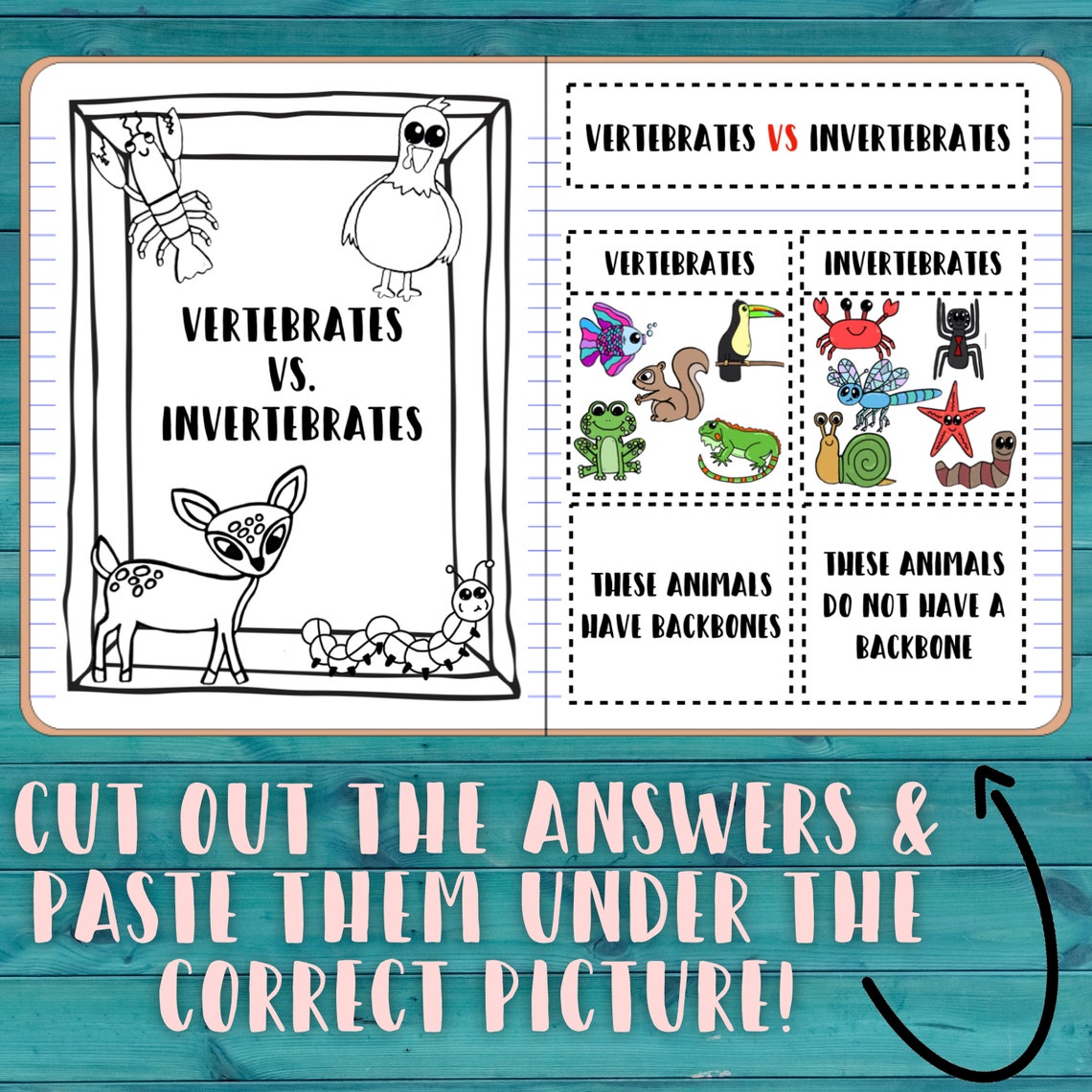 Animal Classification Interactive Notebook Printable Digital - Etsy