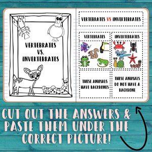 Animal Classification Interactive Notebook, Printable, Digital Download ...
