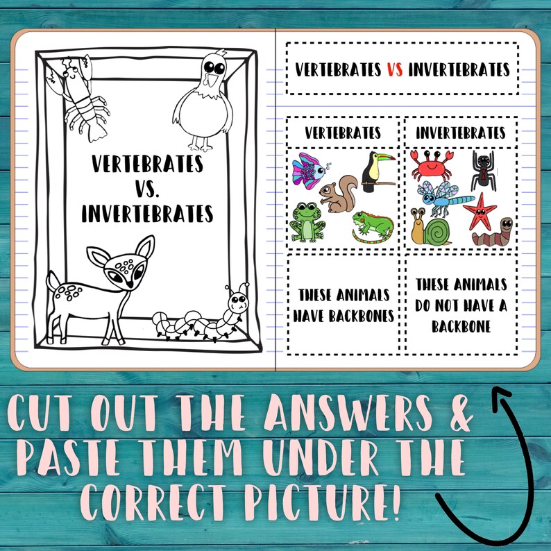 Animal Classification Interactive Notebook Printable Digital - Etsy