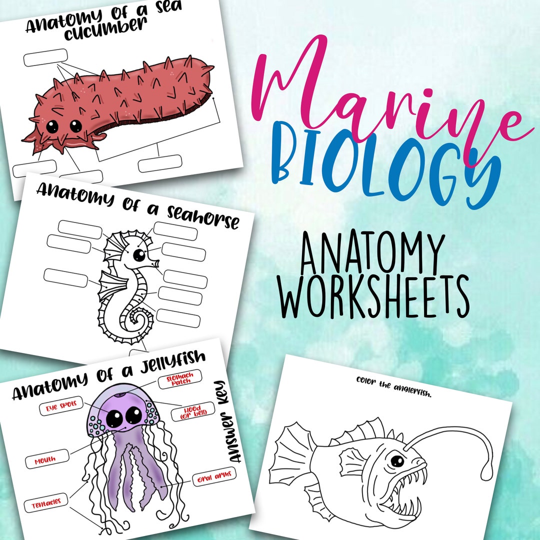 Marine Biology Anatomy Worksheets, Printable, Digital Download - Etsy