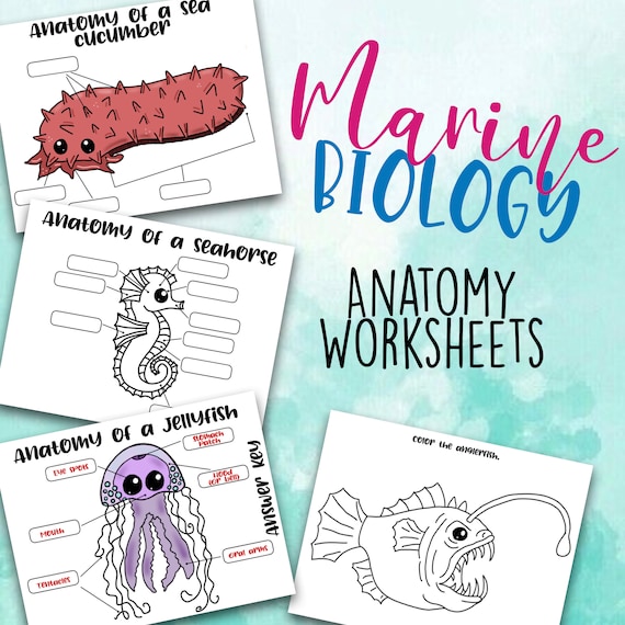 Marine Biology Anatomy Worksheets Printable Digital Download - Etsy