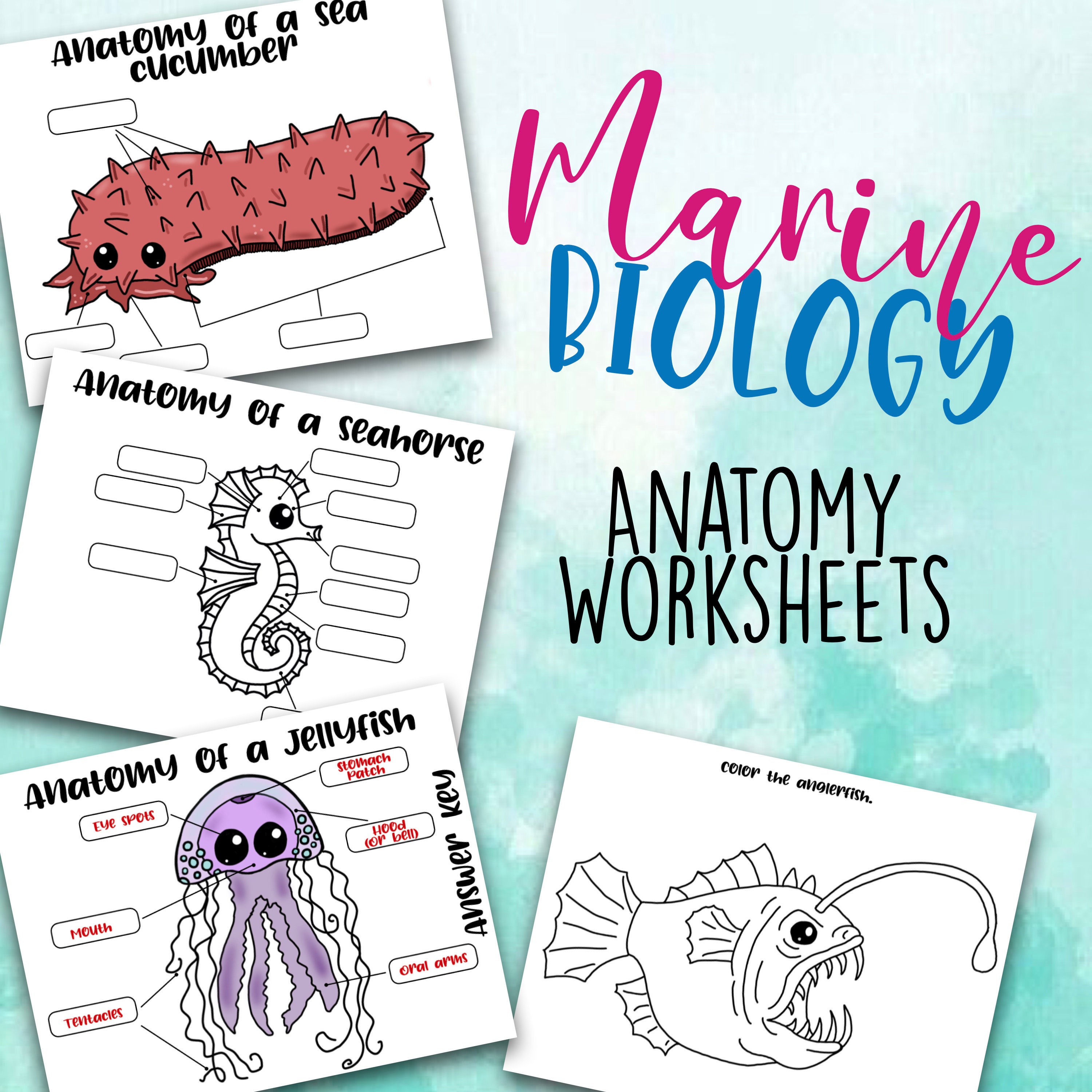 Marine Biology Anatomy Worksheets Printable Digital Download - Etsy