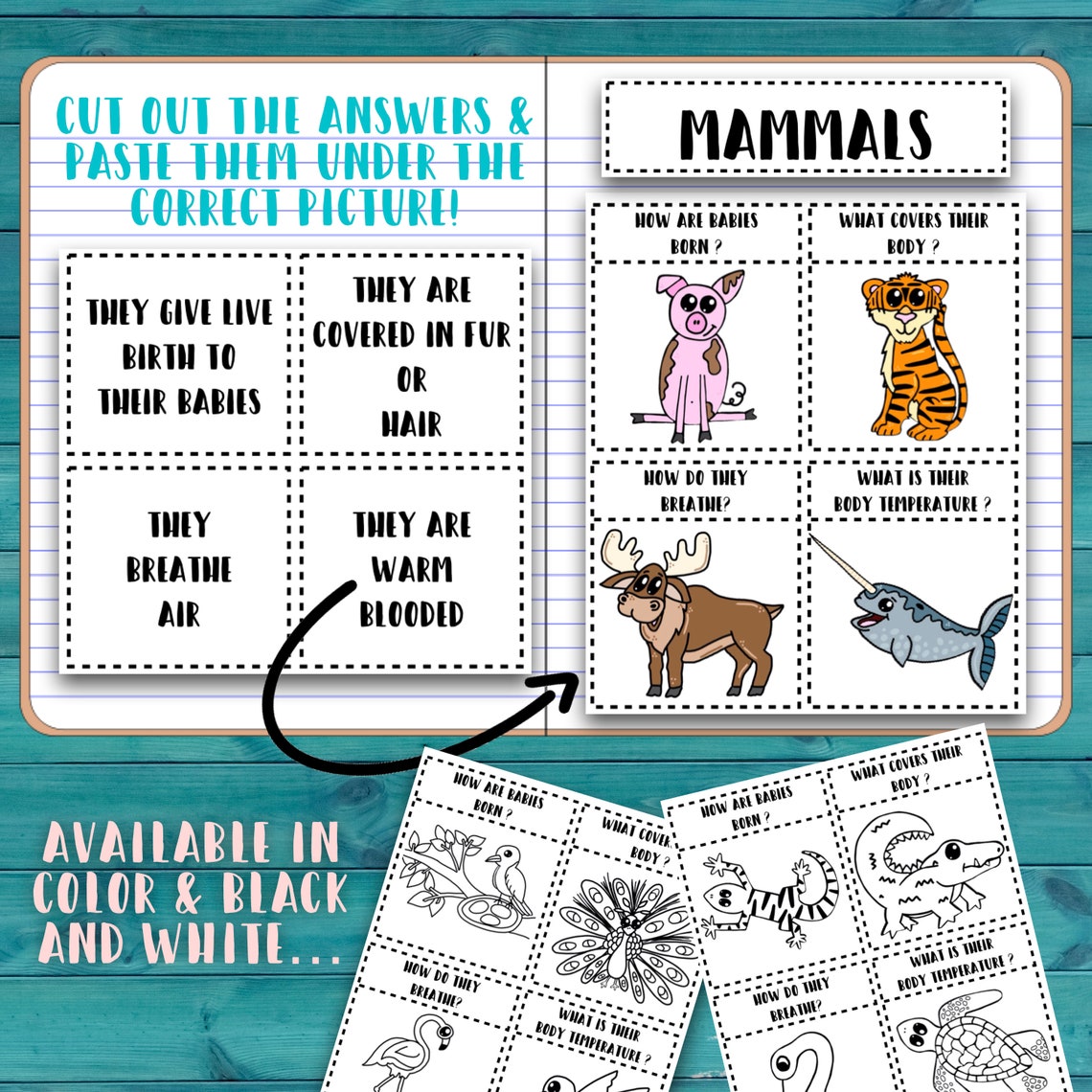Animal Classification Interactive Notebook Printable Digital - Etsy