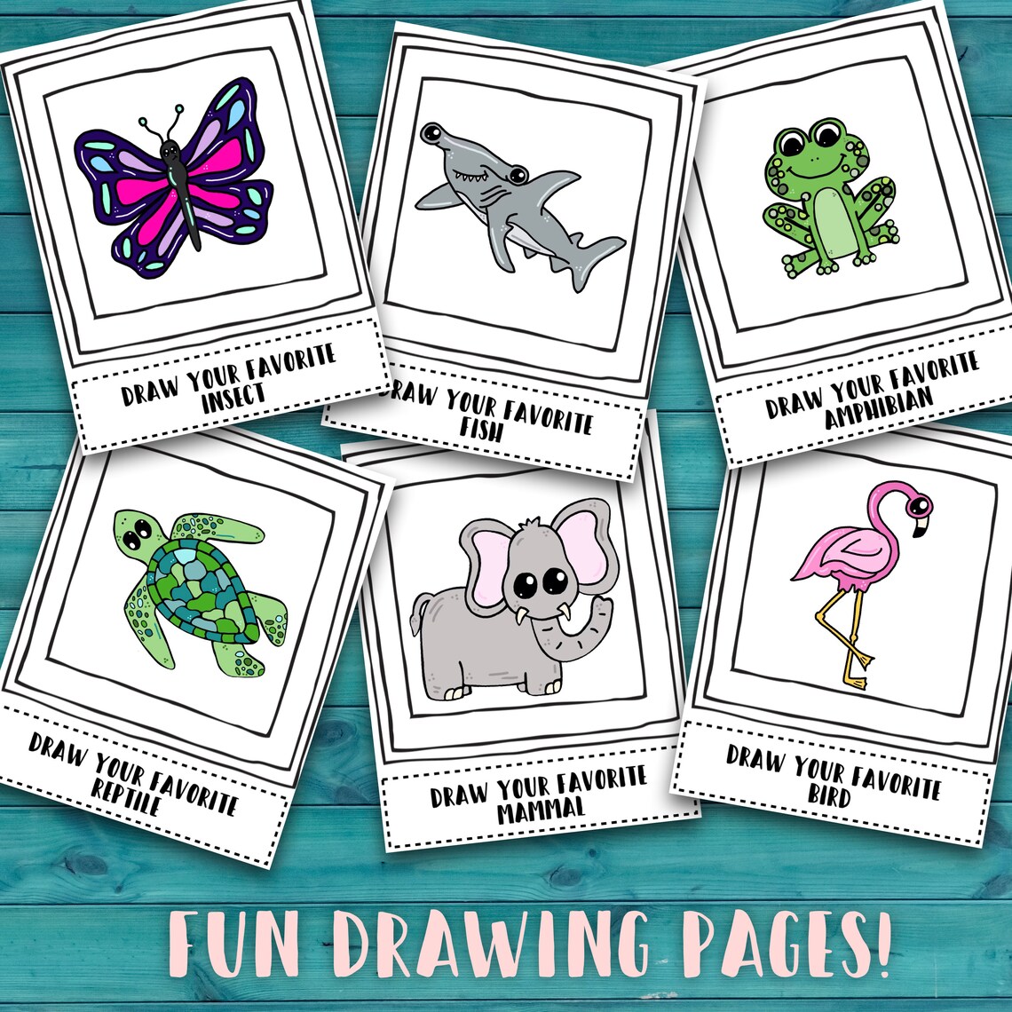 Animal Classification Interactive Notebook Printable Digital - Etsy