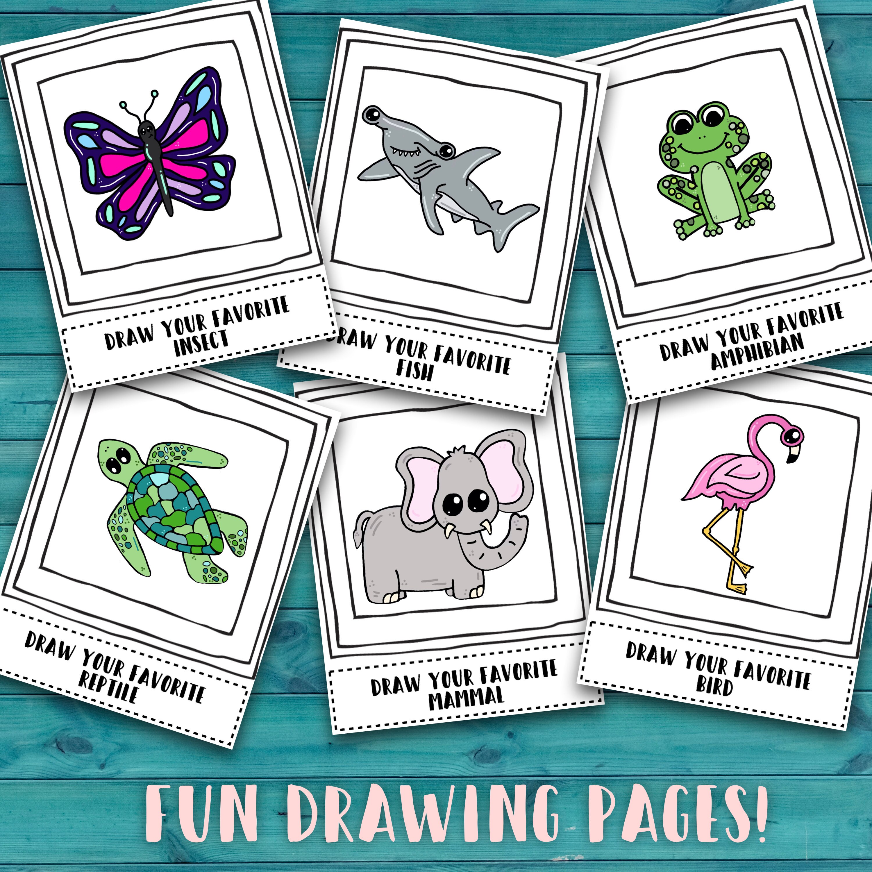 Animal Classification Interactive Notebook Printable Digital - Etsy