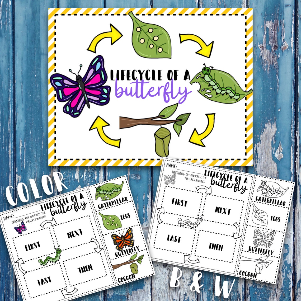 Lifecycle of a Butterfly Worksheet Sequence Worksheet - Etsy