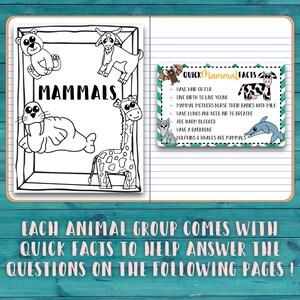 Animal Classification Interactive Notebook, Printable, Digital Download ...