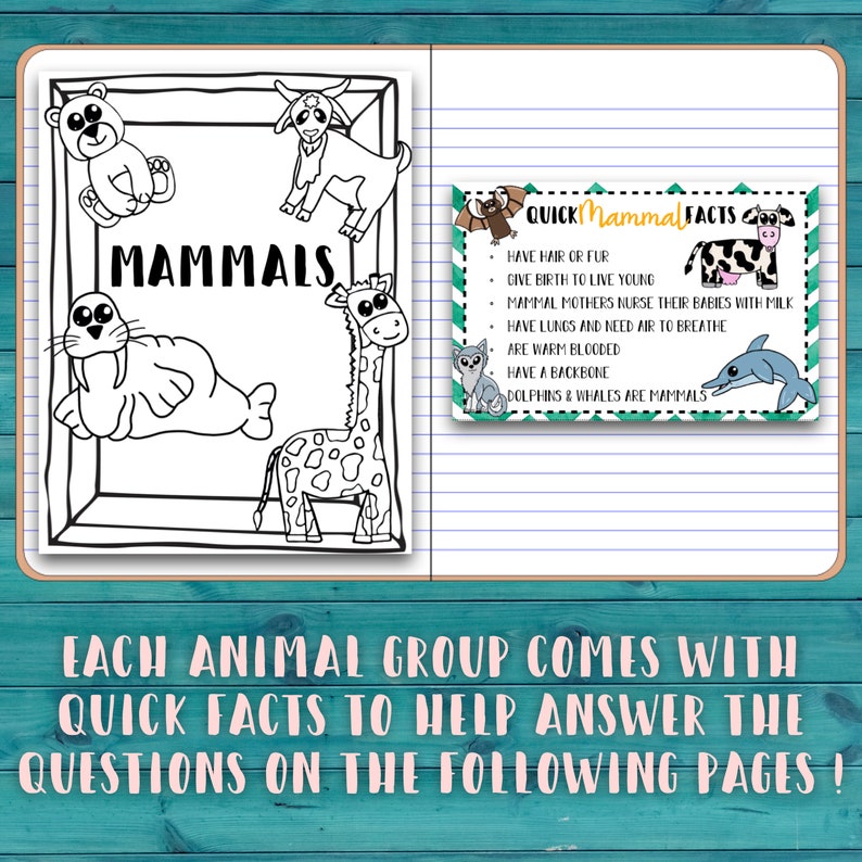 Animal Classification Interactive Notebook Printable Digital - Etsy