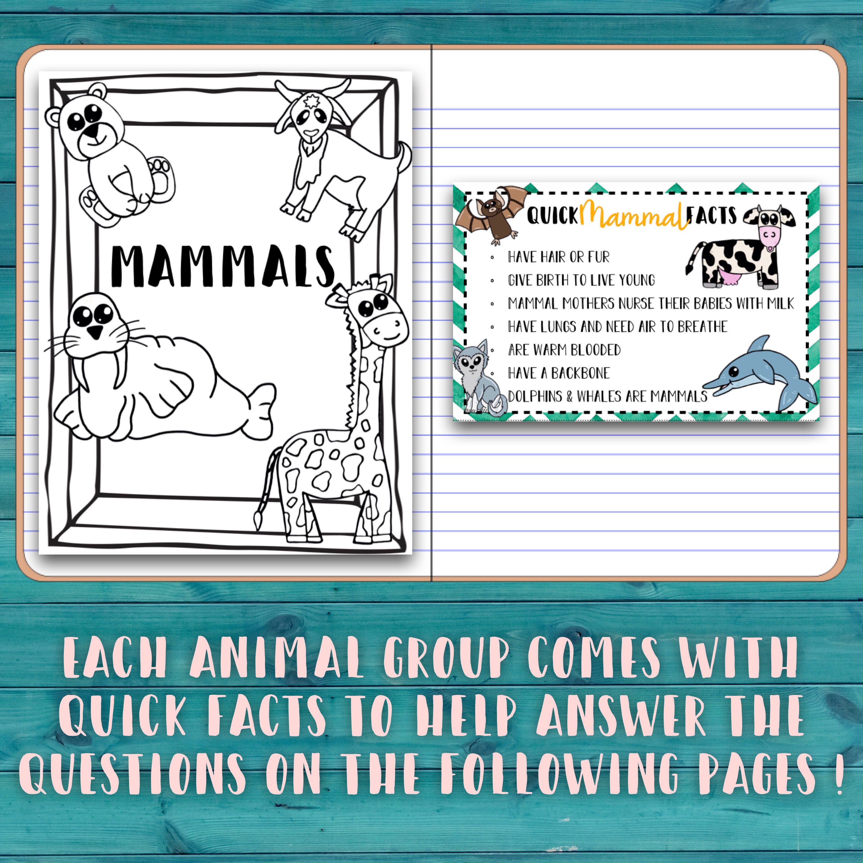 Animal Classification Interactive Notebook Printable Digital - Etsy