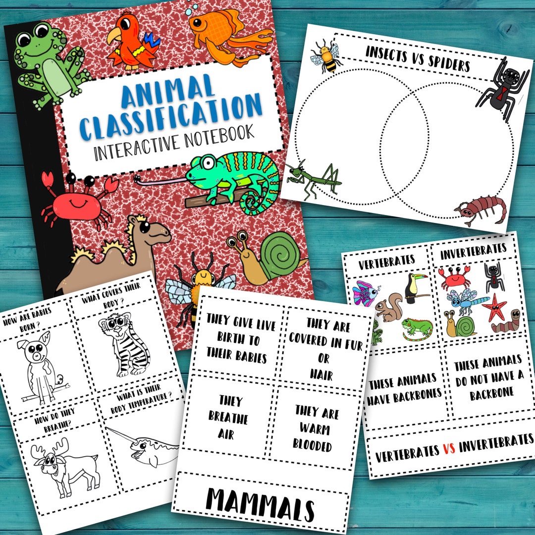 Animal Classification Interactive Notebook, Printable, Digital Download ...