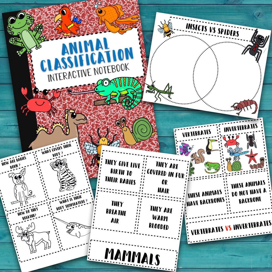 Animal Classification Interactive Notebook Printable Digital - Etsy