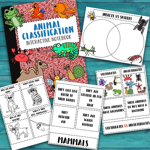 Animal Classification Interactive Notebook Printable Digital - Etsy