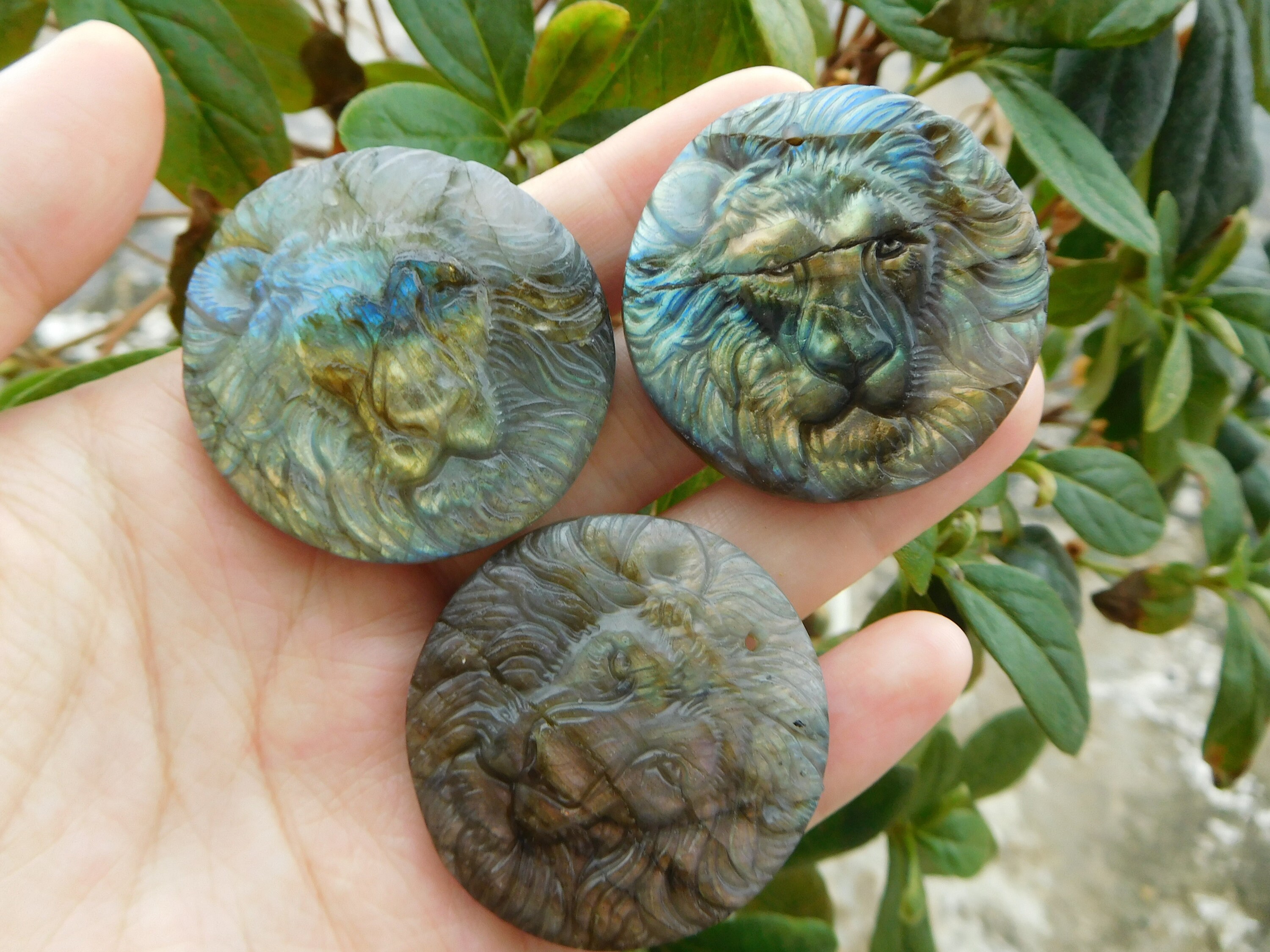 Lion Crystal. Carved Lion Pendant. Labradorite Lion. - Etsy