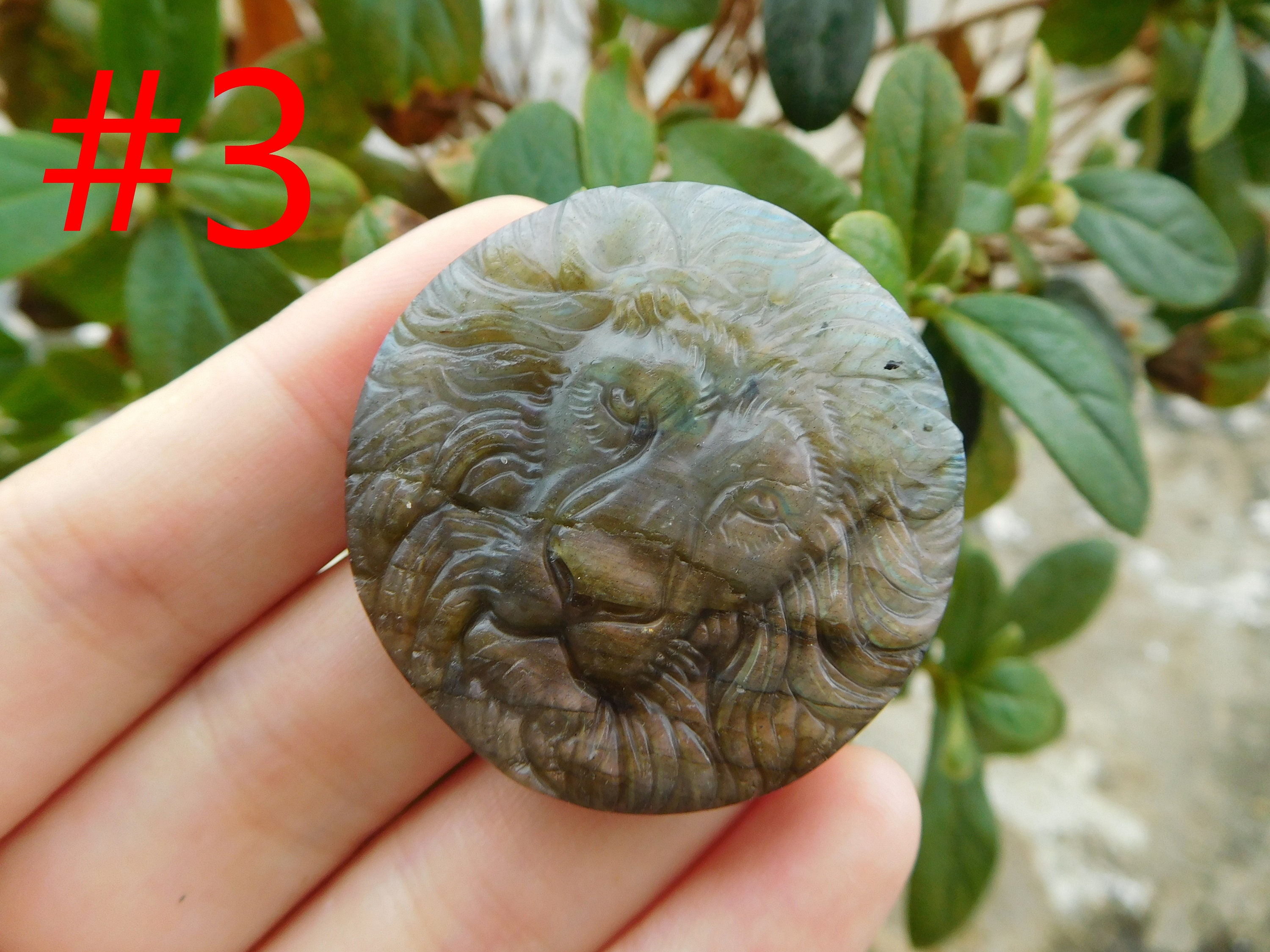 Lion Crystal. Carved Lion Pendant. Labradorite Lion. - Etsy