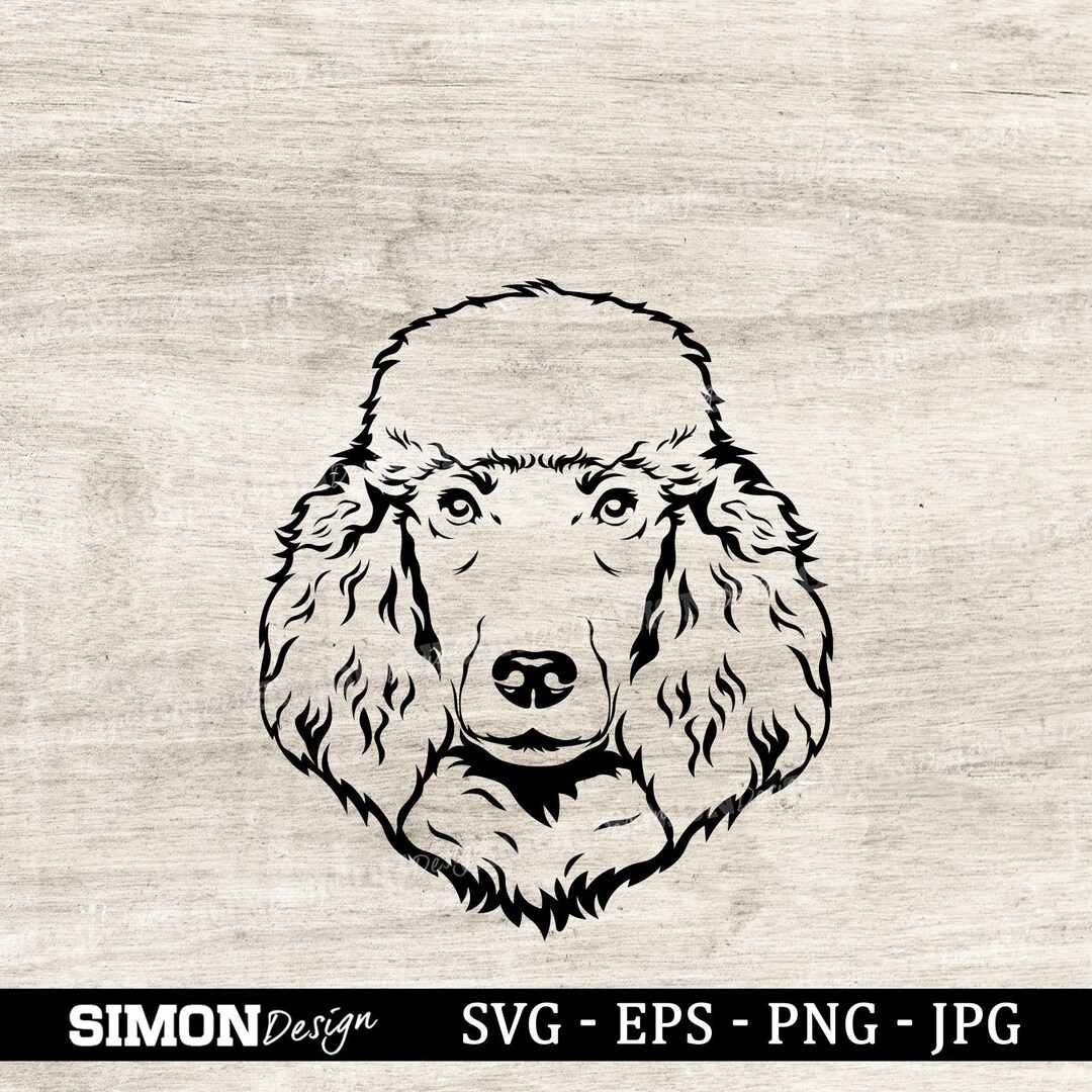Poodle Svg, Poodle Puppy Svg, Pedigree Logo, Poodle Silhouette, Poodle ...