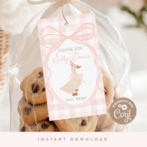DIGITAL DOWNLOAD | One Silly Goose Birthday Favor Tags, Pink Gingham ...