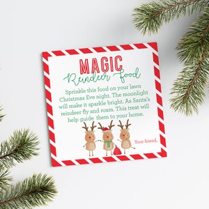 Magic Reindeer Food Tags | Printable Tag Template, Editable Reindeer ...