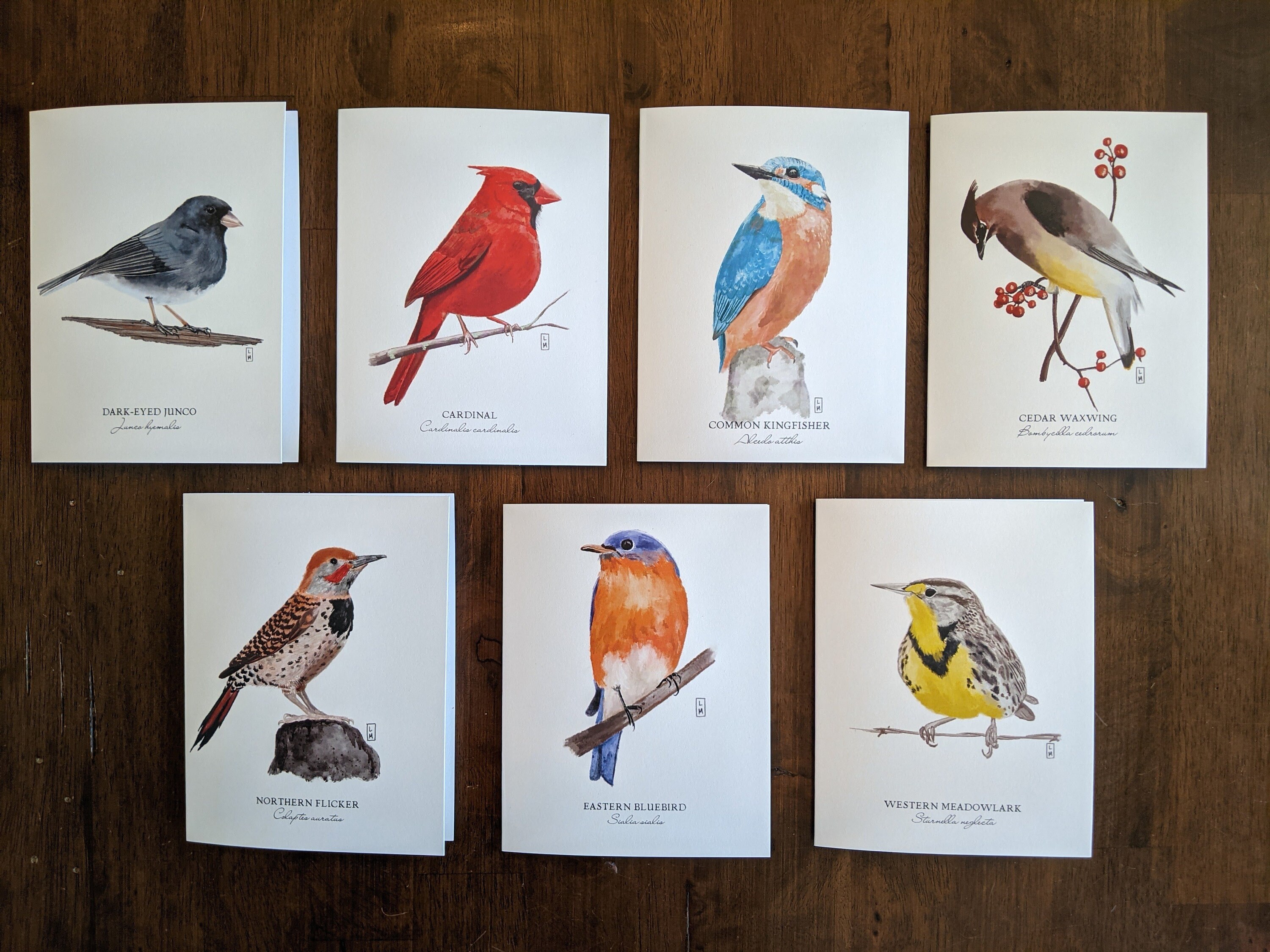 Bird Note Cards | Set of 7 | Bird Greeting Cards | Set of 7 Bird Note ...