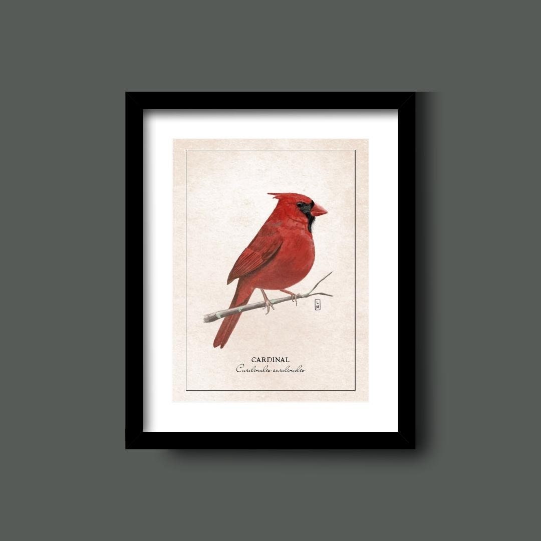 Cardinal Bird Gift - Etsy